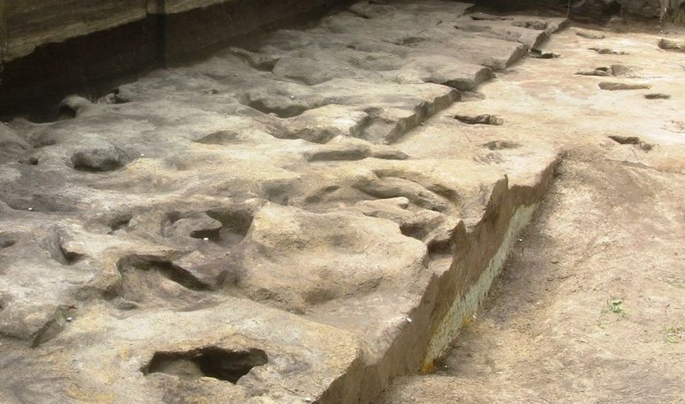 Ancient enigma unearthed: 300,000-year-old footprints discovered in ...
